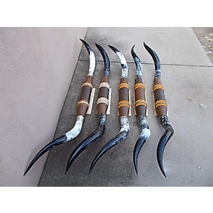 XXL Mounted Steer Cow Bull Texas Long Horns (One Set Only) Longhorn 5' 5" to 5' 11"