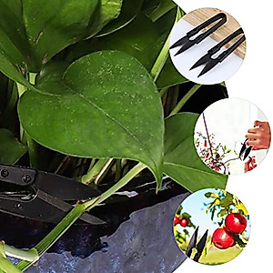 Yardwe 12pcs Bonsai Trimmer Tools Trimming Shears Professional Bonsai Pruning Tool Garden Bonsai Shears Leaves Scissors Pruning Scissor Trimmer Tool Small High-Carbon Steel Pruning Shears