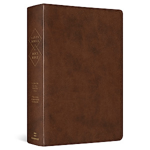 ESV Spanish/English Parallel Bible (La Santa Biblia RVR / The Holy Bible ESV, TruTone, Brown) (English and Spanish Edition)
