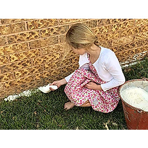 First Saturday Lime for Insects 20lb