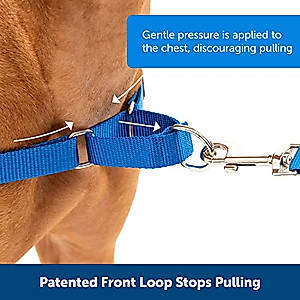 PetSafe Easy Walk No-Pull Dog Harness - The Ultimate Harness to Help Stop Pulling - Take Control & Teach Better Leash Manners - Helps Prevent Pets Pulling on Walks - Large, Black/Silver