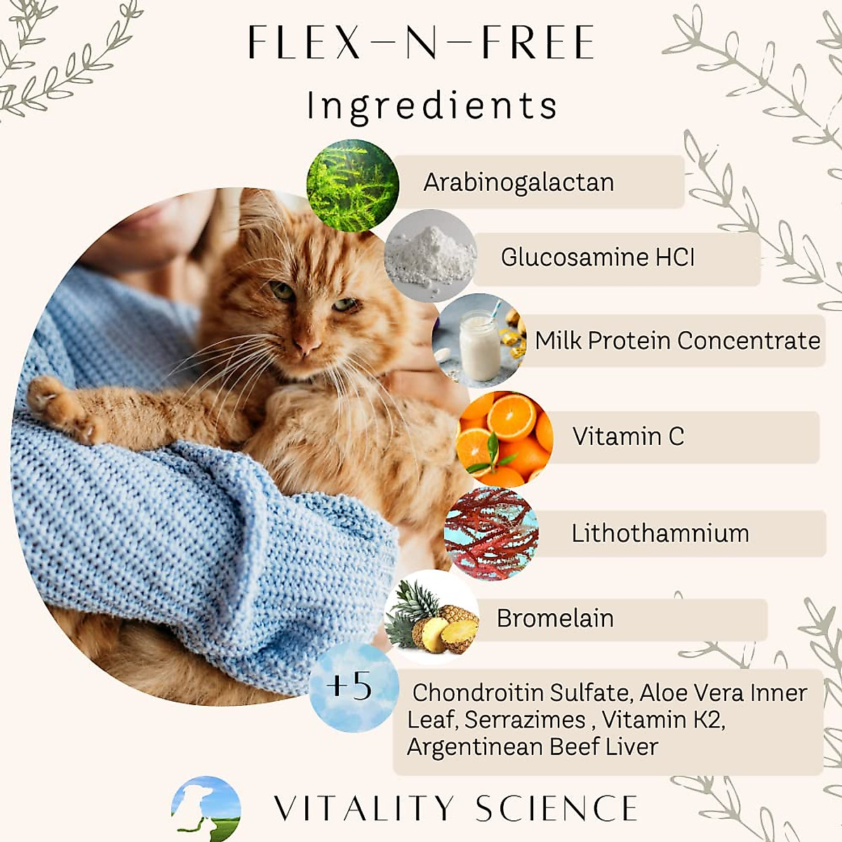 Vitality Science Flex N Free for Cats | Promotes Healthy Bones & Joints | Relieves Joint Stiffness & Maintains Mobility | Reduces Inflammation | Builds Healthy Bone Tissue | 100% Natural (120g)