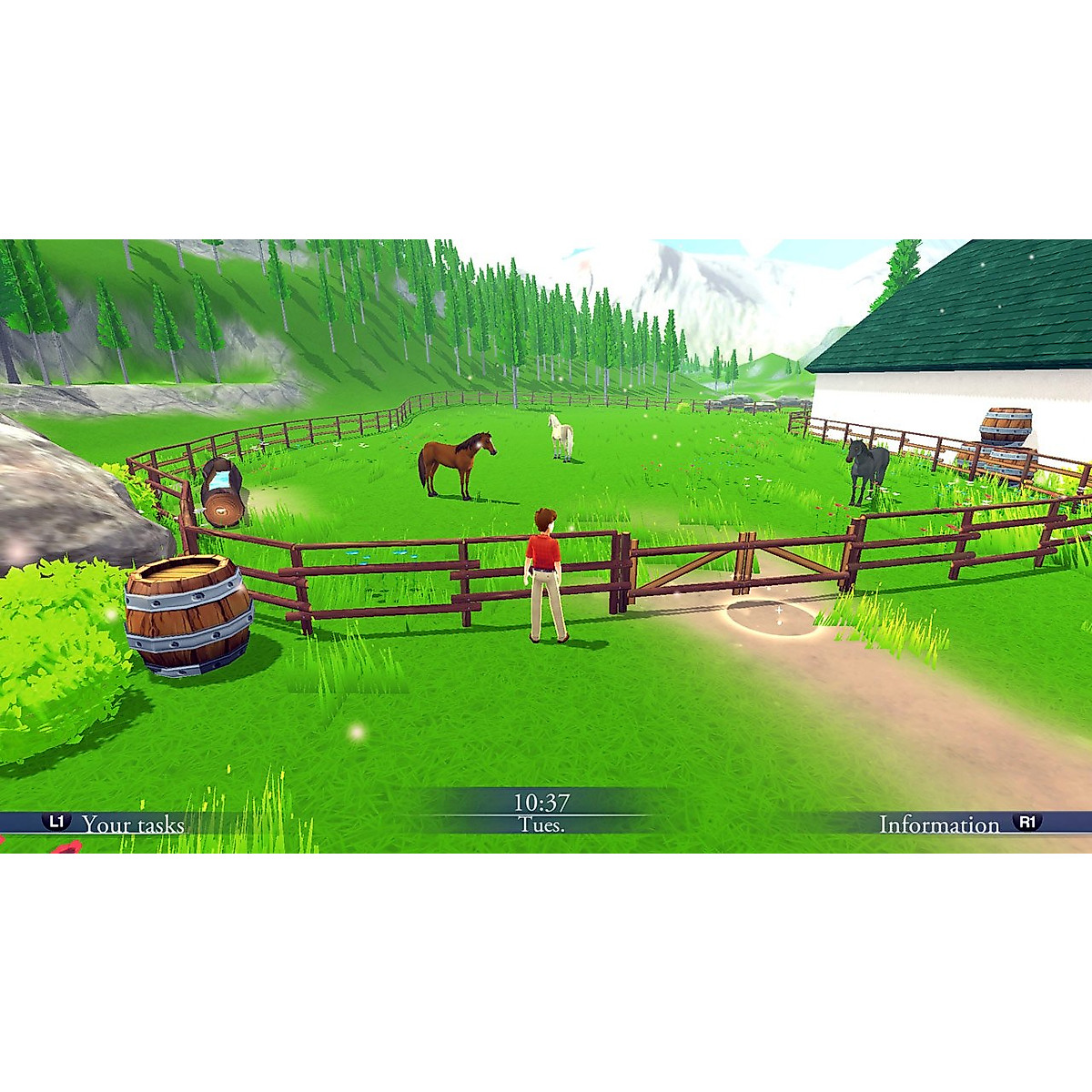 My Riding Stables - Life with Horses - PlayStation 4