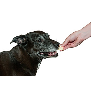 Spring Pet Dual Enzyme Action Beef Hide Dental Chews (Large) for Dogs Weighing 25 to 50 Pounds 30 Count