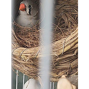 Lucky Interests Coconut Fiber, 9oz. Comfortable Bedding for Small Birds and Animals, Nest Material for Nest Building, Hideouts, Plants and Upholstery