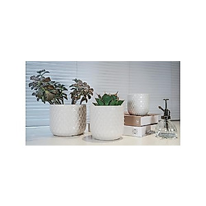 Docrin Ceramic Plant Pots Indoor: 6.5+5.3+4 Inch Planters with Drainage Holes for Home/Office - Set of 3 / White Honeycomb