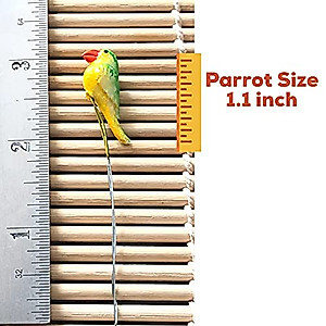 Ray 1979, Miniature Dollhouse Fairy Garden Accessories 5 pcs Set 1.1 inch Height for DIY Decorations, Mini Figurines for Mini Garden, Terrarium, Bonsai, Cactus, Moss Landscape (Parrot (5 pcs))