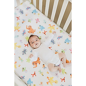 Premium Knit Baby Crib Sheets for Boys and Girls by Copper Pearl: Breathable and Soft, Fitted Crib Sheets for Standard Baby Mattresses, Crib Sheet for Baby Registry or Shower Gift, Sesame Friends