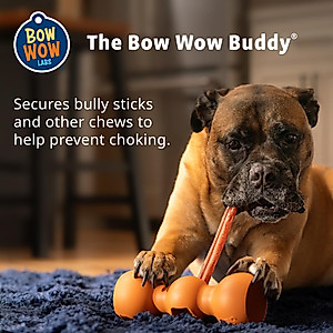 Bow Wow Labs 6" Bully Sticks for Dogs | 100% All Natural, Grass-Fed, Free-Range Beef | Low Odor | Long Lasting Chews | SafeFit | 10 Pack (Thin)