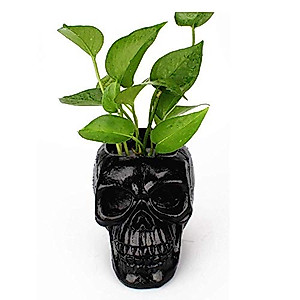 Nicee Skull Pen Holder,Skull Makeup Brush Holder,Pen Holder,Dressing Table Office Desk Storage Box,Green Plant Flower Pot,Halloween Skull(Black)