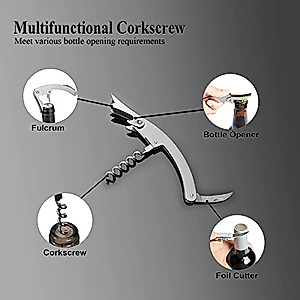 ProCattle 13 Piece Cocktail Shaker Set with Bamboo Stand, Stainless Steel Mixology Bartender Kit and Recipes, Bar Tools Set, Gifts for Men Dad Grandpa, Home Party, Bar Party, Travel - 25 OZ (750ml)