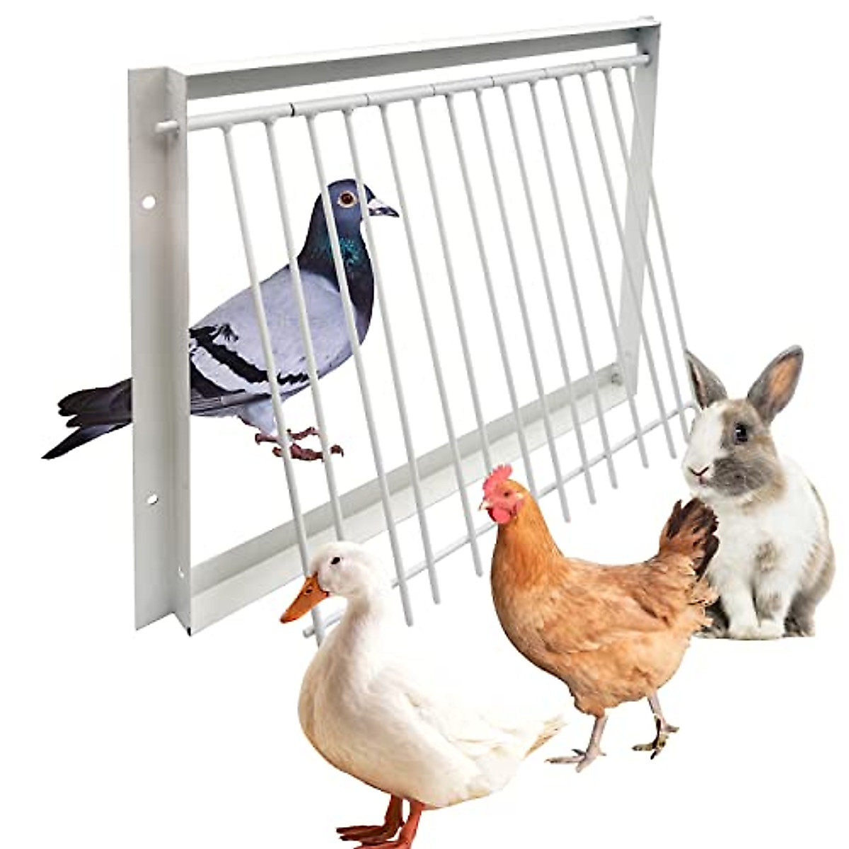 MINYULUA Pigeon Cage Door with 2pc Large Pigeon Feeder and Bird Leg Bands, Pigeon Loft Door for Parrots Bird Poultry Racing Pigeon Supplies, Food Dish Dispenser Tool