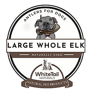 WhiteTail Naturals | Large, Whole Elk Antlers for Dogs | Dog Chews | Naturally Shed Antler Bone Chew Toy