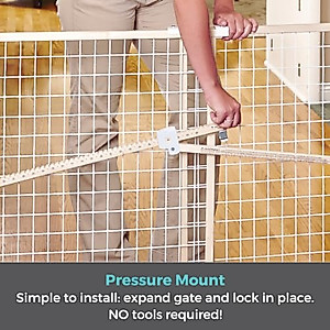 Toddleroo by North States Quick Fit Wire Mesh Wooden Baby Gate: 29.5"- 50" Wide. Pressure Mounted Baby Gate for Doorway. Tension Lever For Quick Custom Fit. (31" Tall, Sustainable Hardwood)