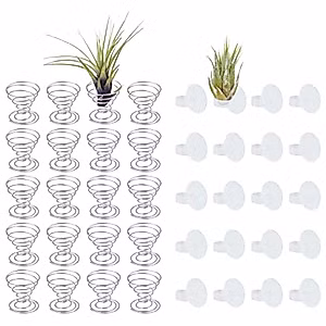 Homaisson 40 Packs Air Plant Stand Holders, Stainless Steel Plant Display Racks, Tillandsia Airplant Containers with Suction Cups, Stainless Steel Wire Stands