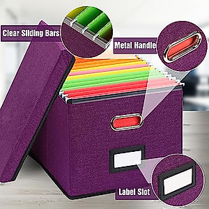 EOOUT File Folder Organizer - 1 Pack, Hanging File Storage Box with Handles
