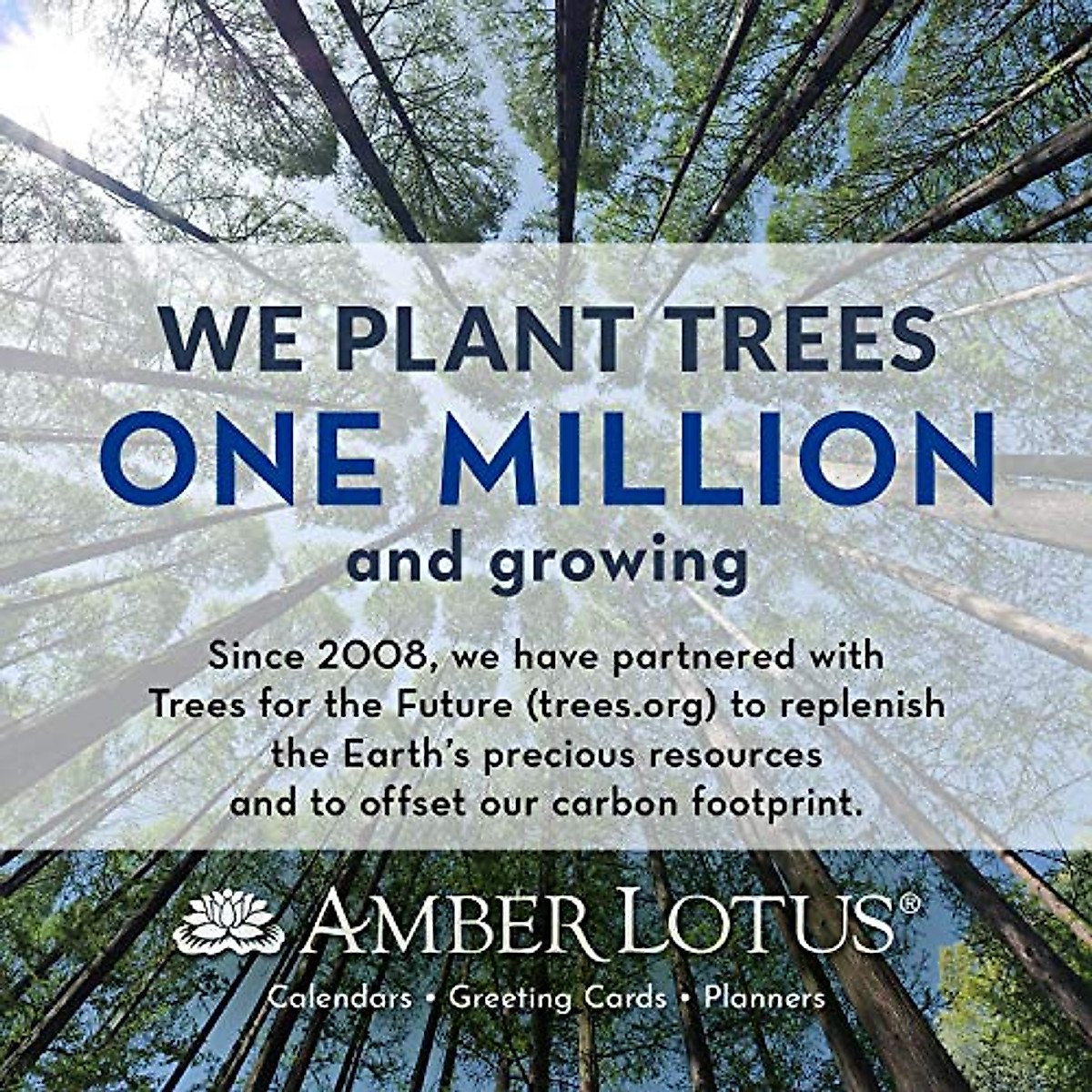 A Year of Mindful Living 2021 On-the-Go Weekly Planner: 17-Month Calendar with Pocket (Aug 2020 - Dec 2021, 5" x 7" closed)