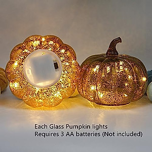 CFDECOR Mercury Glass Pumpkin Light with Timer, with 10 Fairy Lights Inside, Battery Operated Led Pumpkin Light, Ideal for Halloween Fall Decoration, Thanksgiving Rustic Decor, Xmas Decor(Gold2)