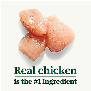 NUTRO PREMIUM LOAF Adult Natural Grain Free Wet Dog Food Slow Cooked Chicken, Potato, Carrot & Pea Recipe, 12.5 oz. Cans (Pack of 12)