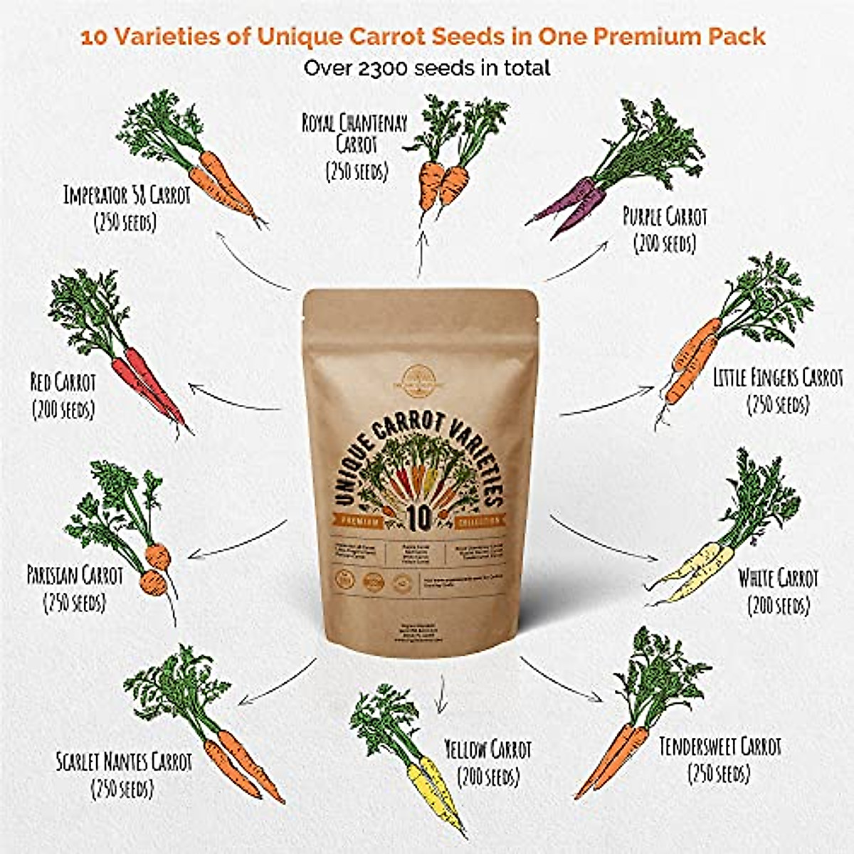 10 Carrot & 8 Onion Seeds Variety Packs Bundle Non-GMO Heirloom Seeds for Planting Indoor and Outdoor Over 5200 Carrot & Onion Seeds in One Value Bundle