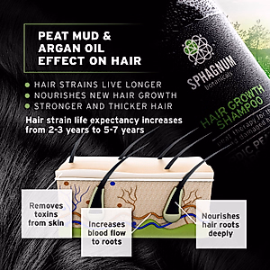 Hair Growth Shampoo for Men - Natural Biotin Boost with Argan Oil, Aloe Vera and Peat Mud - Effective Hair Loss Treatment for Thinning Hair - Helps With Dandruff