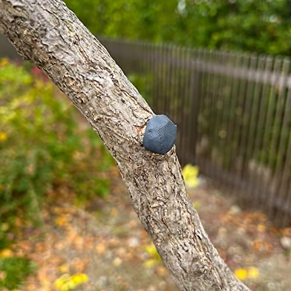 Kiyonal Bonsai Cut Paste 135g (Putty Type), Tree Pruning Sealer for Bonsai, Gardening, Grafting, Made in Japan, Gray