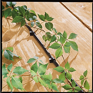 Orbit 56318 Hanging Basket Flex-Mist Watering Kit with Hose-End Timer