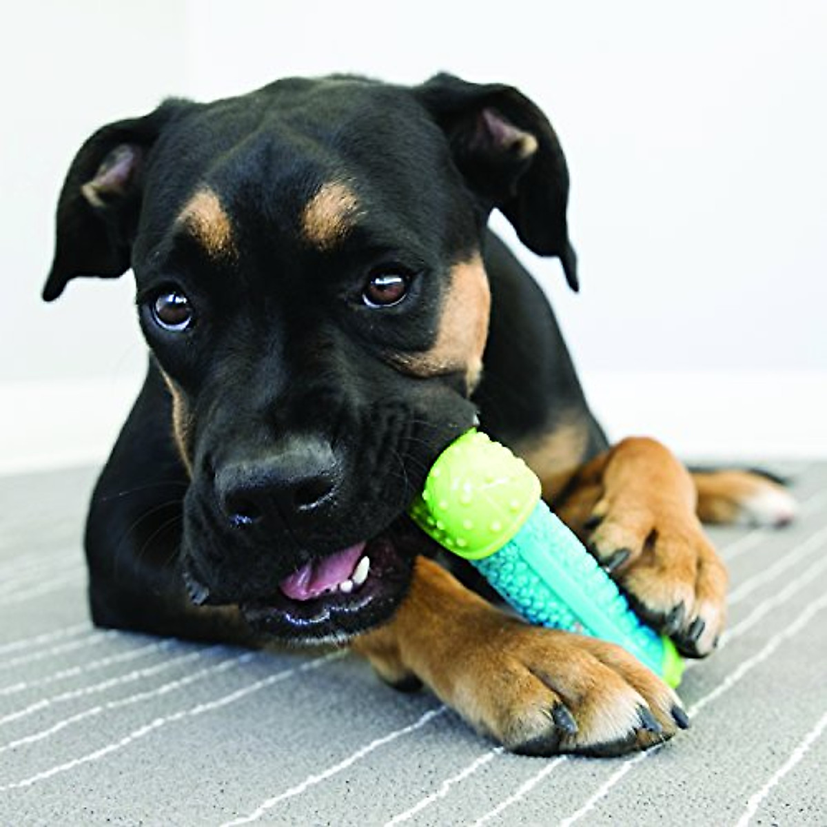 KONG CoreStrength Bone - Dog Chew Toy for Aggressive Chewers - Durable Dog Toy for Fetch - Dog Bone Chew Toy for Teeth & Gum Health - Dental Dog Toy for Mental Enrichment - Small/Medium Dogs