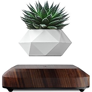 LEVINA Floating Plant Pot - Authentic Levitating Plant Pot for Air Plants, Magnetic Rotating Air Bonsai Planter, Floating Planter, Bonsai Pot, Unique Decor Air Plant Pot, Room Decor Tech Toys