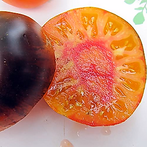 CHUXAY GARDEN Lucid Gem Tomato Seed 10 Seeds Blood Fruit Small Shrub Edible Cook Fruit Great Vegetable Gardening Gifts
