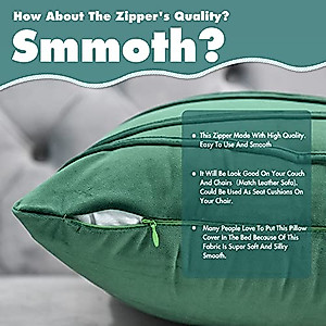 NianEr Decorative Plush Velvet Throw Pillow Covers Sofa Accent Couch Pillows Set of 2 for Bed Living Room Square Pillow Cases 20X20 Deep Green