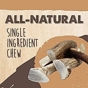 Mighty Paw Elk Antlers for Dogs | Medium Size 6" Premium Deer Antlers for Dogs, Pets and Puppies. Long Lasting Deer Antler Dog Chew for Aggressive Chewers. Dog Antler Chews for Large and XL Dog