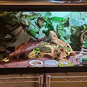 BWOGUE Reptile Habitat Decor Hideouts Log Hideaway Critter Cavern Bark Bends Resin Wood Decorations Hiding Place for Lizards Leopard Gecko Spiders Snakes Fish Shrimp Turtle