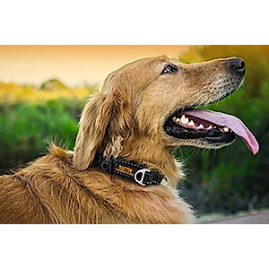 Mighty Paw Metal Buckle Dog Collar, All Metal Hardware, Lightweight Collar, Reflective Stitching, Strong, Durable (Medium, Black)