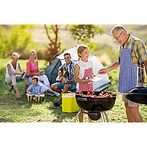 Springbok Braai Best Charcoal Briquettes for Grilling - All Natural Hardwood Briquettes Charcoal for Smoker, Outdoor BBQ Grill - High Heat, Long Lasting, Economical, Sustainable Acacia Wood,1x5 lb Box