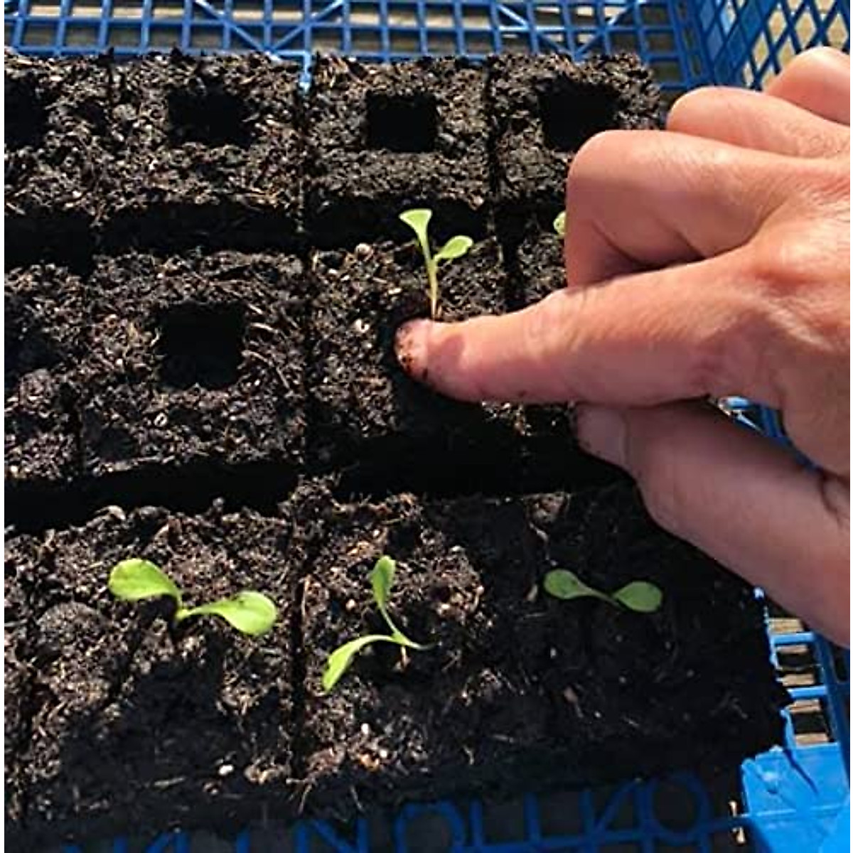 Ladbrooke Genuine Cubic Inserts, Set of 4. Snap in - for Use in The Mini 4, and Long-Handle Multi 6 and Multi 12 Soil Blockers, Made in England