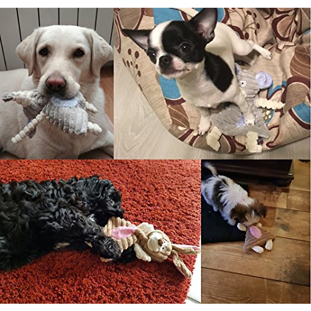 Comtim No Stuffing Dog Toys with Squeaker, Durable Dog chew Toys No Stuffing Squeaky Dog Toys for Small Dogs and Puppies, Rabbit & Elephant