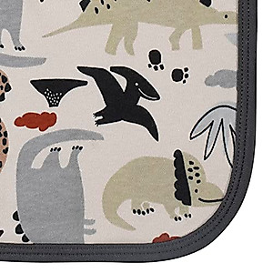 Gerber Baby 4-Pack Terry Burp Cloths, Dino, One Size