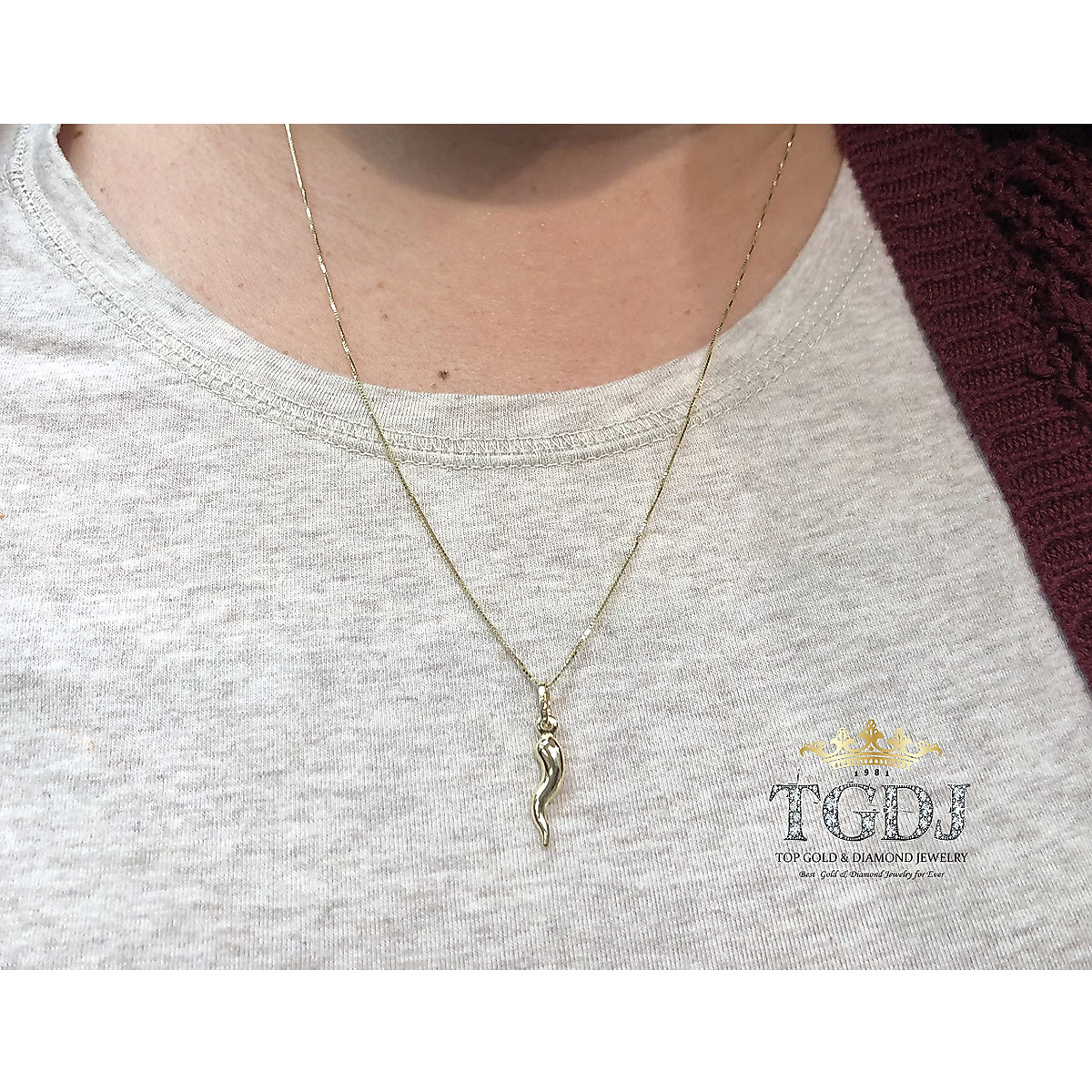 TGDJ 14k Yellow Gold Italian Horn Charm Pendant - 23 x 8 MM Good Luck Pendant with 0.65mm Box Link Chain - Suitable for Men and Women