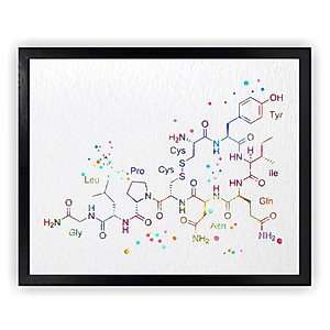 Dignovel Studios 8X10 Unframed Oxytocin Molecule Love Molecule Symbol Chemistry Watercolor Art Print Poster Housewarming Wall Giclee Office Home Decor DN537