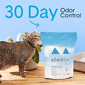 Boxie® Unscented 30 Day Natural Odor Control Cat Litter, 11.5lb Lightweight Plant Based Kitty Litter