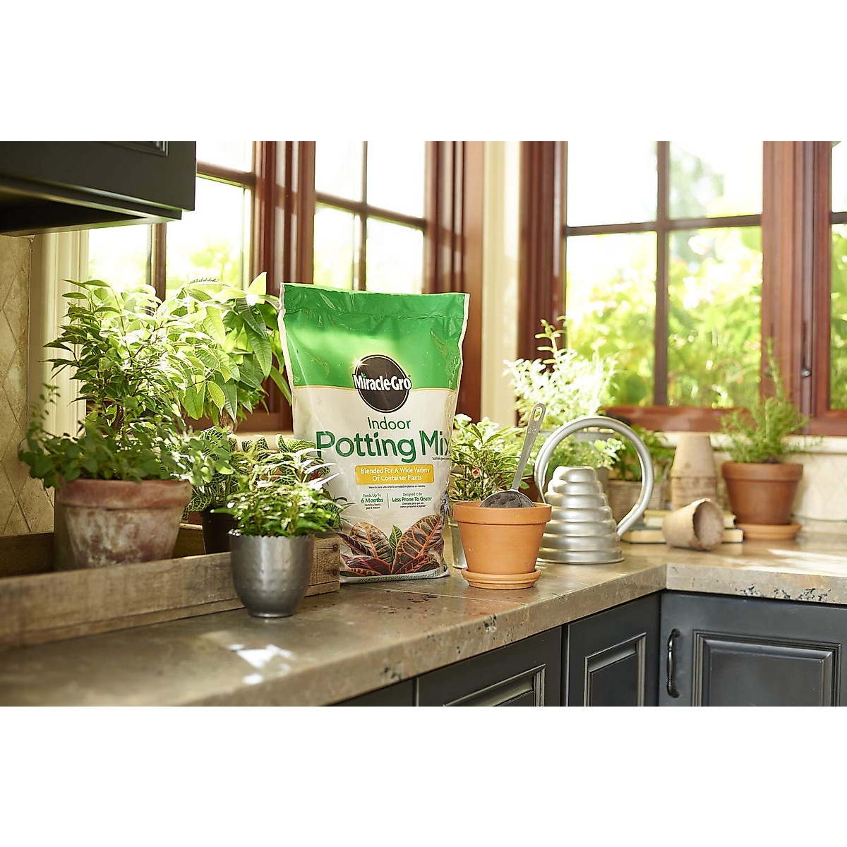 Miracle-Gro Indoor Potting Mix 6 qt., Grows beautiful Houseplants