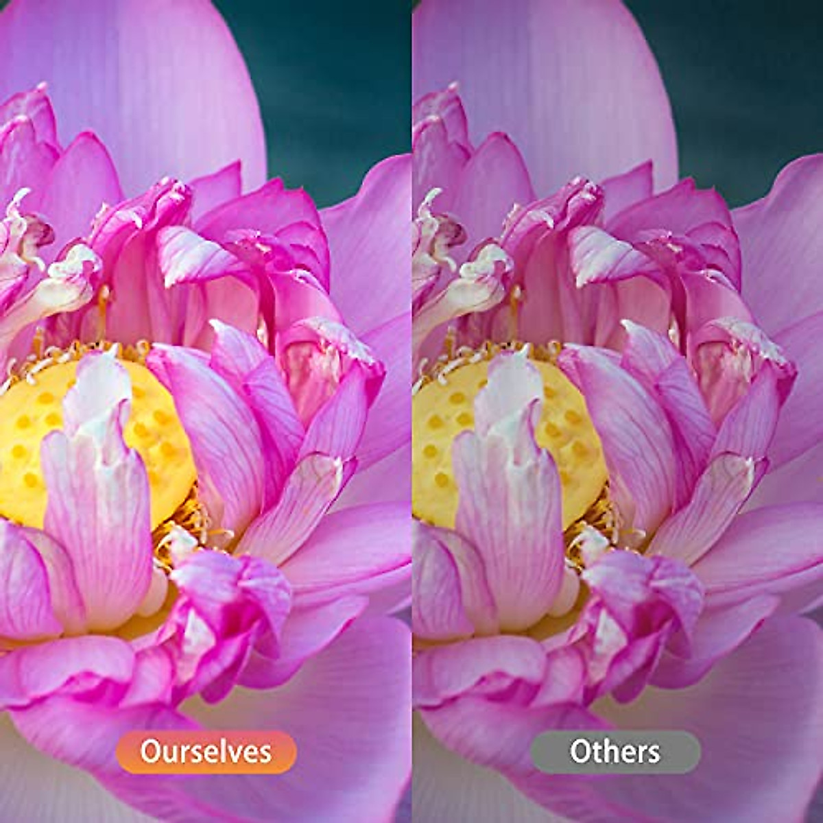 JUNCAI Compatible Ink Cartridge Replacement for Brother LC3013 LC-3013 LC-3013 XL LC3011 for use with Brother MFC-J690DW MFC-J491DW MFC-J497DW(5 Pack with The Latest Upgraded Chips)