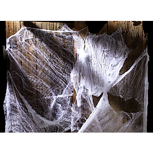 Spider Web, 200 Square Ft, Halloween Decorations, Spider Webs (200 Square Feet) (Packaging Artwork May Vary)…