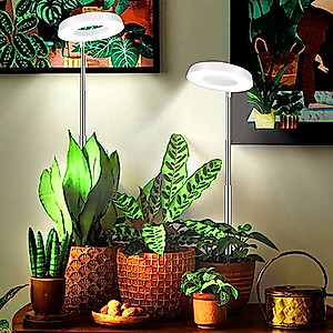 Juhefa Grow Light for Indoor Plants Growing, 4000K White Full Spectrum Halo Plant Lamp for Seedlings Succulents Small Mini Plants, Auto On Off Timer 4/8/12/18Hrs & 3 Colors Changeable