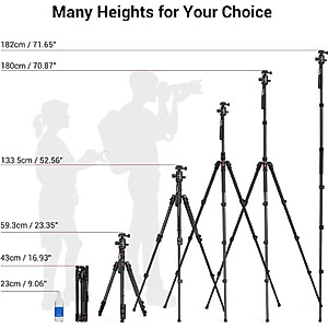 SmallRig 71" Camera Tripod Monopod with Detachable 360° Ball Head, Quick Release Plate, Max. Payload 33lb, Adjustable Height 16-71 inches for Travel, Video, Live Streaming, Vlogging
