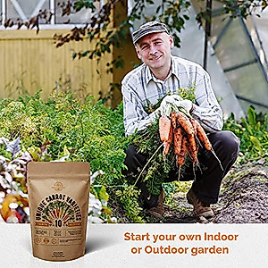 10 Carrot & 8 Onion Seeds Variety Packs Bundle Non-GMO Heirloom Seeds for Planting Indoor and Outdoor Over 5200 Carrot & Onion Seeds in One Value Bundle