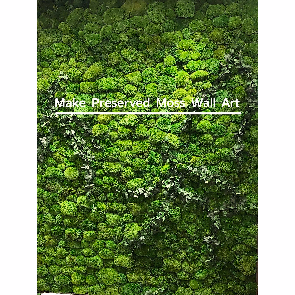 Prefleur Preserved Pole Moss Pillow Bun Cushion Natural Green Decorative Real Natural Green DIY Kit Terrariums Gardenning Art Wall Decor Florist Decor Easter Table Wedding(1.5 sq.ft, Green-B)