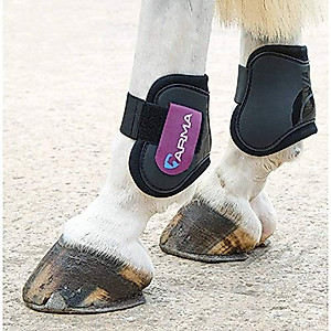 Shires Arma Fetlock Boots Black/Plum Pony/Cob