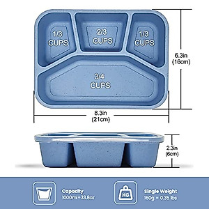 SHALORY 4 Pack Bento Lunch Box for Kids,4 Compartment Divided Meal Prep Sncak Container,Freezer Microwave and Dishwasher Safe Food Storage,Reusable Bento Adult Lunch Box for School Work Travel